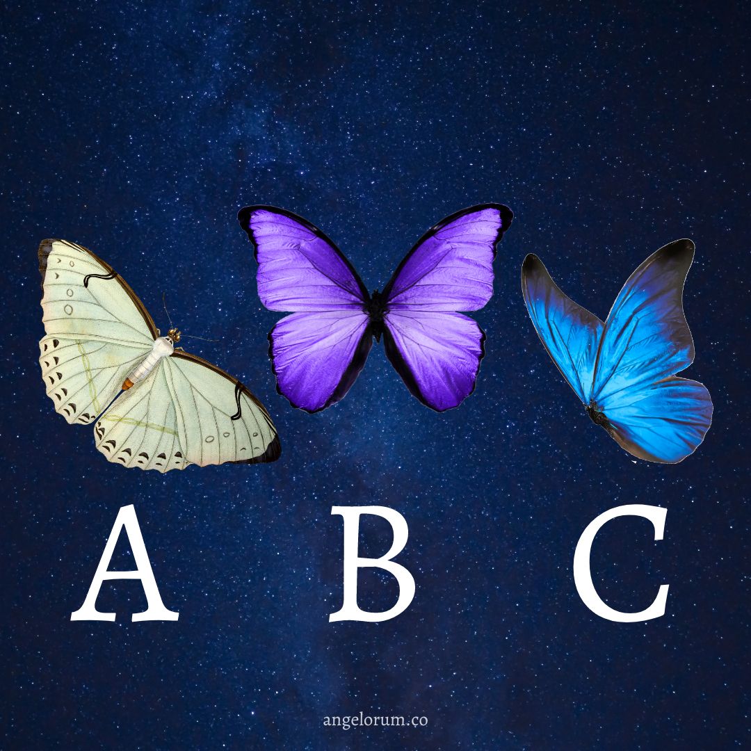 Pick a Butterfly for the Transformation Potential of the Solar Eclipse ...