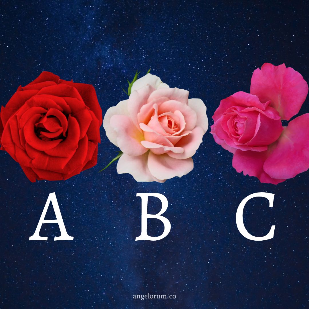 Pick a Rose Love Tarot Reading ⋆ Angelorum Tarot